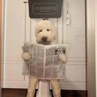 Black and White Highland Cow Shaking Head in a Bath Print Cow - Etsy