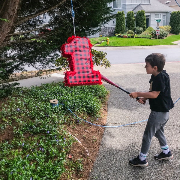 New Plaid Number One Pinata Red & Black Color for Lumberjack Theme ...