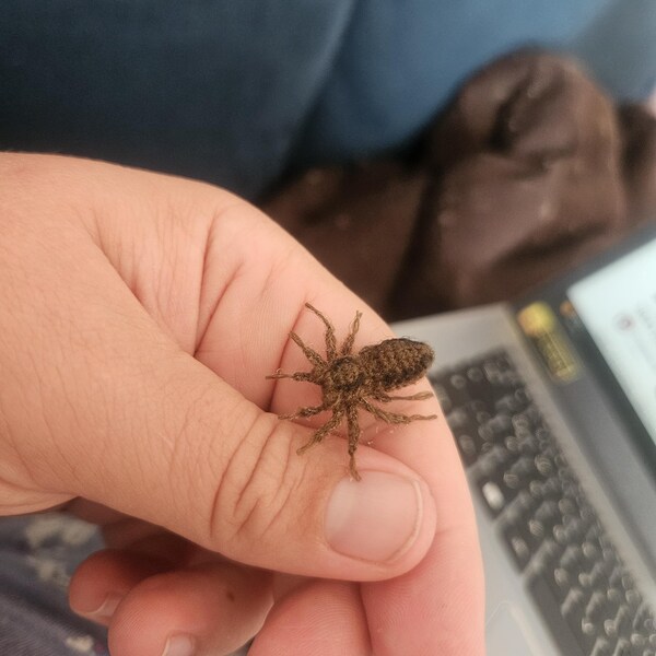 Crochet Tarantula Pattern Halloween Decor Amigurumi: Make Your Own ...