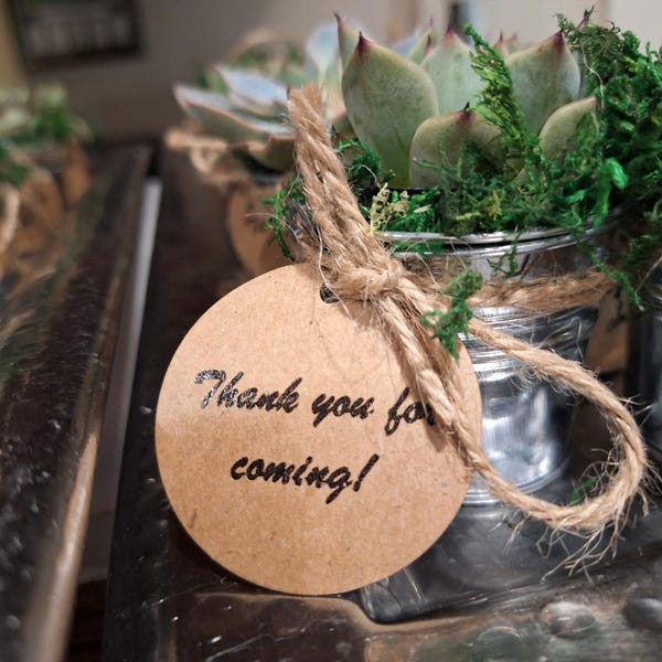 Live Succulents With Burlap Wraps & Custom Tags for Weddings, Baby ...