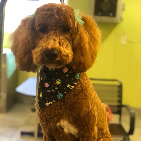 Plain DOG BOWS, Tulle Dog Bows, Grooming Dog Topknot Bows - Etsy