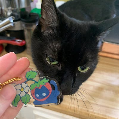 Cute Trinket/character Aesthetic Sticker Sheets - Etsy UK