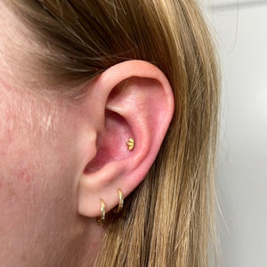 14k Yellow Gold Threadless Snake Conch Labret Top W/ Titanium Post ...