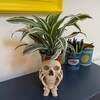 Happy Skull Horror Planter Unique Plant Pot, Witchy/goth Decor Bedroom ...