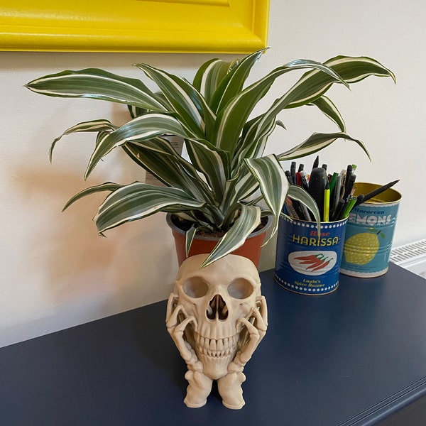 Happy Skull Horror Planter Unique Plant Pot, Witchy/goth Decor Bedroom ...