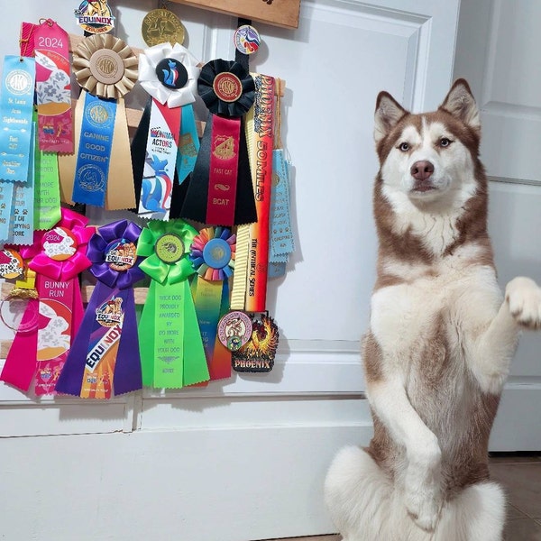 Custom Ribbon Display, Dog Award Ribbon Display Rack, Dog Rosette ...