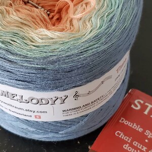 Color My World 19 Orange and Black Yarn Halloween Yarn | Etsy