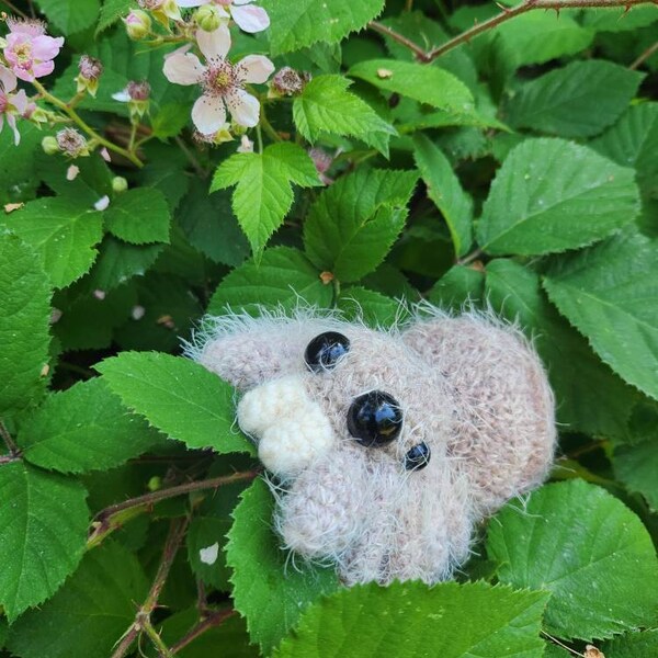 Cheerio the Chinchilla Crochet Pattern, Beginner's Crochet Pattern - Etsy