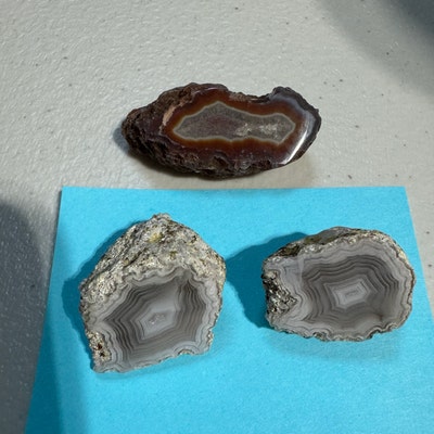 Beautiful Dinosaur Gembone Cabochon Fossil Jewelry Supply Genuine ...