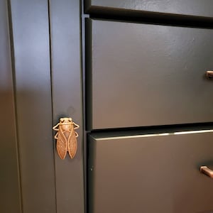 Insect Drawer Knobs in Brass Cicada Cabinet Knobs Insect - Etsy