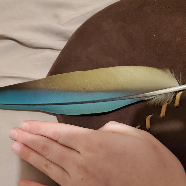 Macaw Feather / Parrot Feather / Green Feather / Small Feathers ...