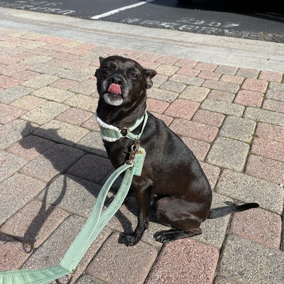 FLUFF Fluffy Lining / Colour Change - Etsy