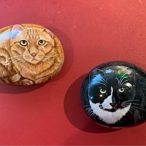 Blue Parakeet Painted Rocks Unique Painted Stone Gifts for - Etsy