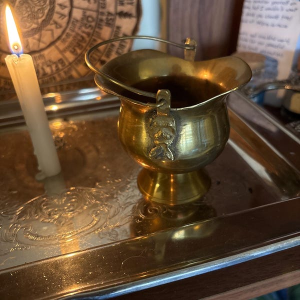 Calico Scallops // Shell Sage Shells // Cone Incense Holder // Sacred ...