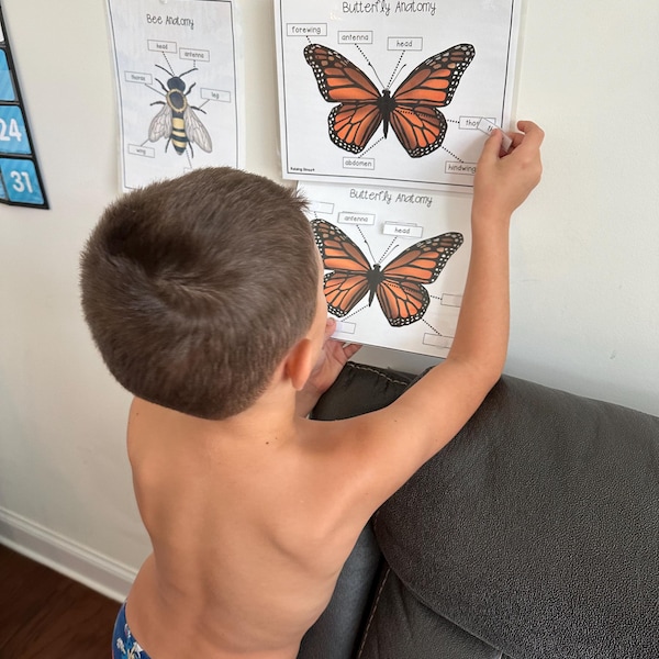 Geology Unit: Science Pack - Etsy