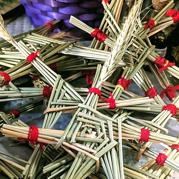 Strawflower, Dried Flowers, White, Cream, Pink, Red, Yellow, Purple ...