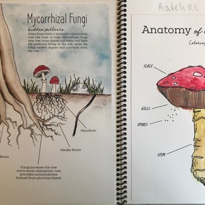 Mycorrhizal Fungi Poster Charlotte Mason Nature Printable - Etsy