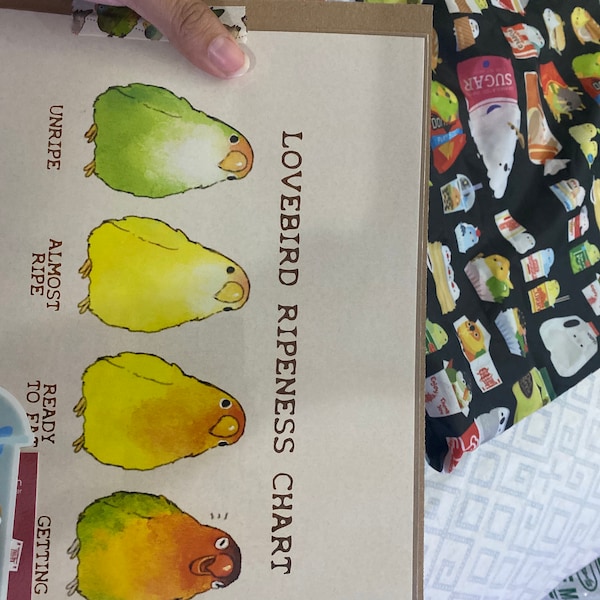 Lovebird Ripeness Chart Poster - Etsy