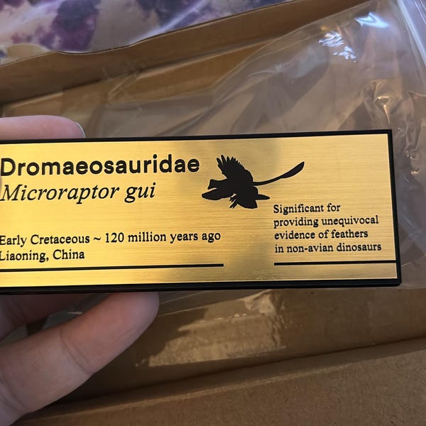 Custom Free Standing Name Plate Display Plaque for Action Figures, Toy ...