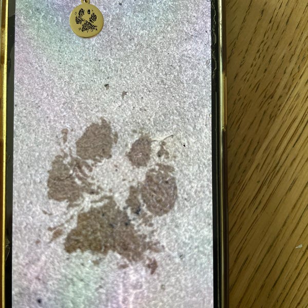 Engraved Actual Paw Print Necklace, Cat Dog Paw Print Pendant, Paw ...