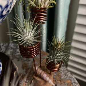 Fossil Planter Rustic Ceramic Plant Pot Succulent Air | Etsy