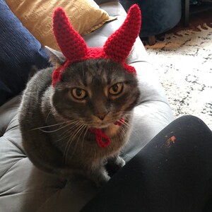 Devil Hat for Cats - Etsy