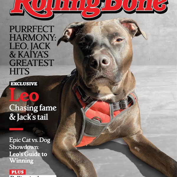 Custom Pet Magazine Cover | Digital or Framed | for Dogs and Cats ...