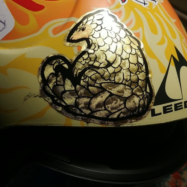 Fat Bears! | Enamel Pins by Dom Fambro - Etsy