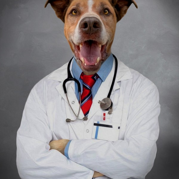 Custom Pet Portrait in Doctor Coat . Pet Doctor . Custom Animal ...