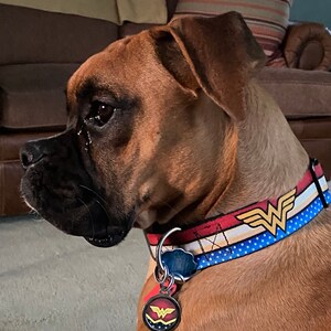 Flag of Sweden Pet Tag Swedish Flag ID Tags Custom Dog Cat | Etsy