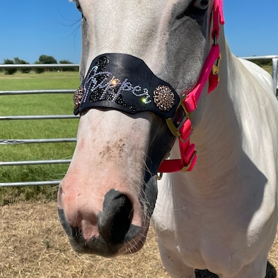 Round Berry Concho , Rose Gold Horse Tack Bling Concho Crystal Concho ...