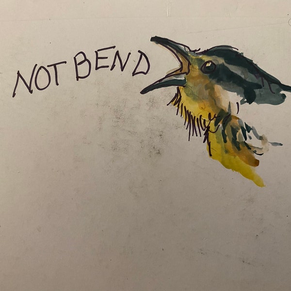 Book Cover Pin, Flying Bird and Windmill, Original Antique Book Cover ...