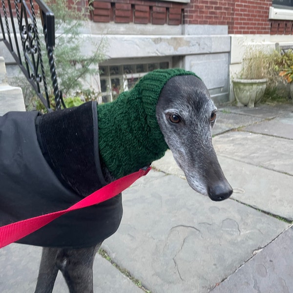 Greyhound Snood 2-TONE Med-lrg Dog Winter. Galgo, Whippet. Made to ...