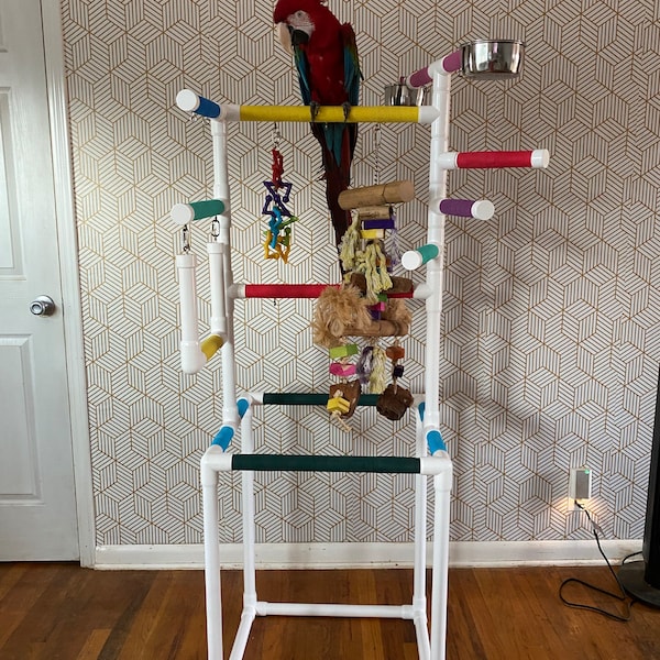 THE ULTIMATE INDULGER: Fun Play Gym and Play Stand for Amazons ...