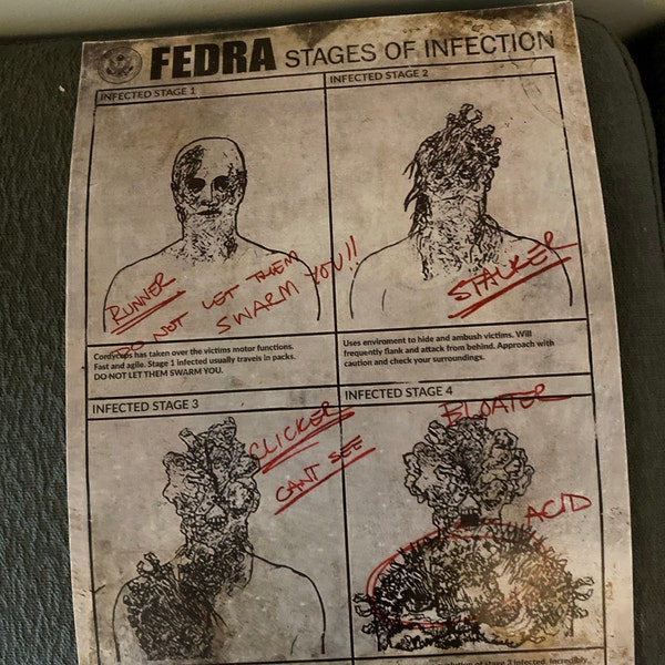 STAGES of INFECTION Cordyceps Flyer, the Last of Us, High Quality ...