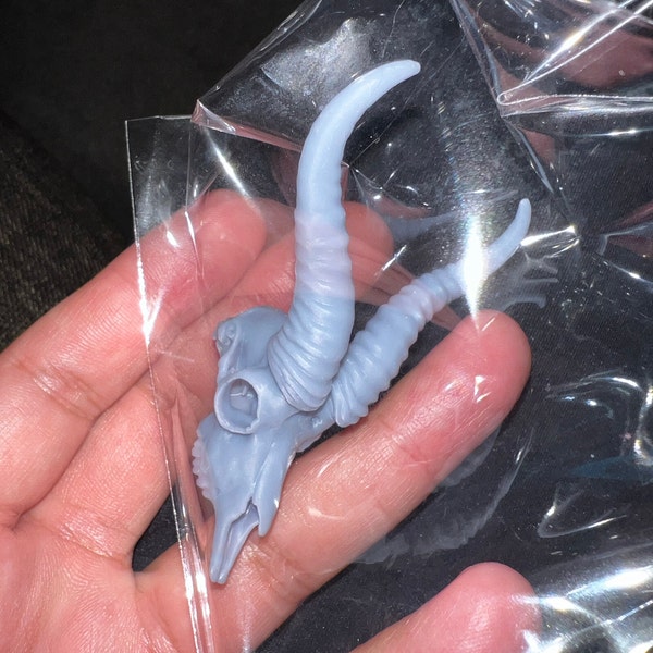 Springbok Skull Replica 1:6 Scale Miniature Animal Skulls for Use in ...