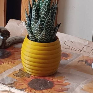 Rounded Cube Pot Planter Pot With Feet Coloured Pot Indoor - Etsy UK