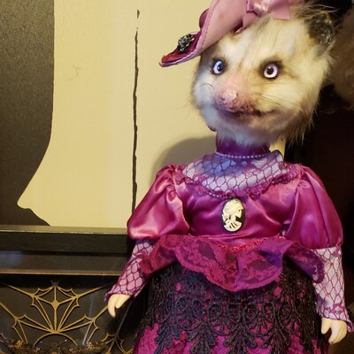 Taxidermy Mouse Head Mount Trophy Tiny Mouse or Rat Magnetic Victorian ...