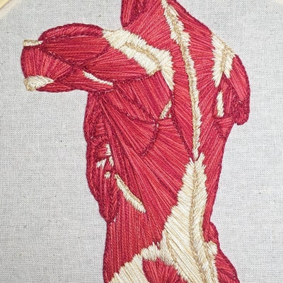 Neurological Anatomical A6 Sticker Sheet. Embroidery, Neuron, Brain ...