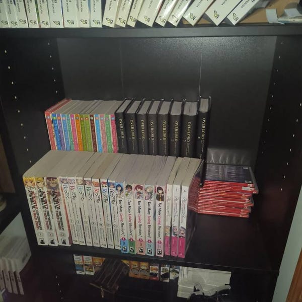 Shelf Riser for Displaying Two Rows of Books on a Single Shelf ...