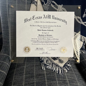 Acrylic Clear Floating Frame, Art, Photo, Modern, Diploma, Degree ...