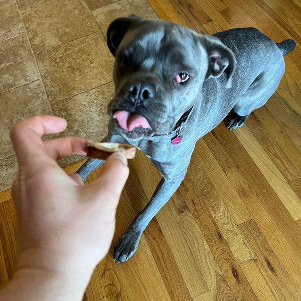 Air Dried Dog Chew for Dogs Air Dried Steer Ear Dog Chew Treat - Etsy