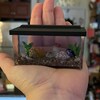 Miniverse Fishtank Lids or Plain Lids - Etsy