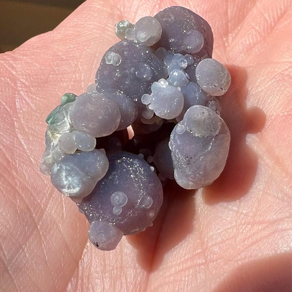 Goethite Epimorph Selenite Crystals Santa Eulalia, Mexico Black ...