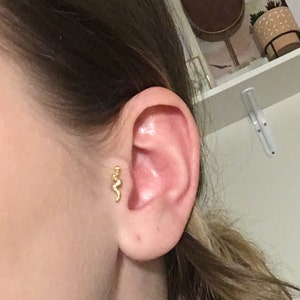 16g Snake Piercing single, 316L Surgical Steel Cartilage, Tragus, Helix ...