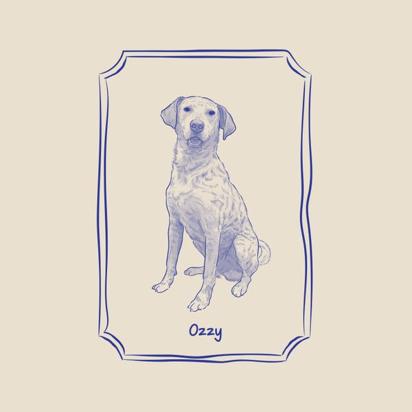 Custom Funky Pet Portrait, Cute Digital Cat Poster, Custom Badly Drawn ...