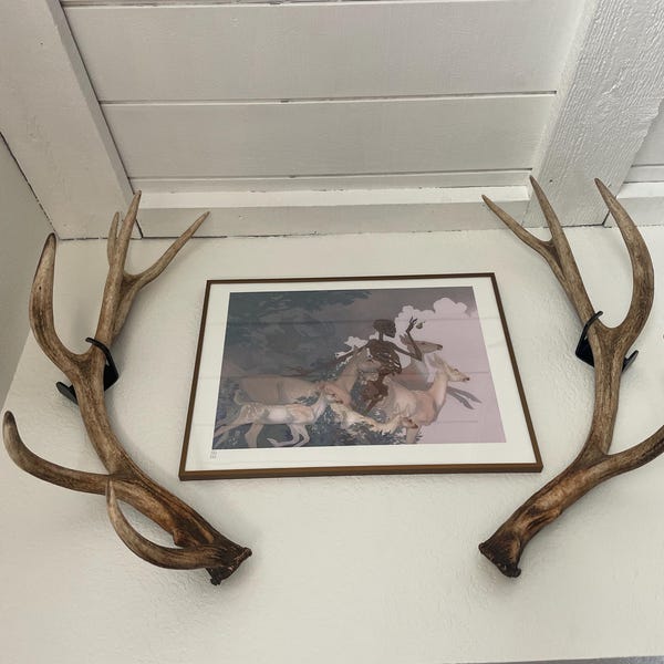 Metal Elk Shed Antler Wall Mount Display. Antler Not Included - Etsy