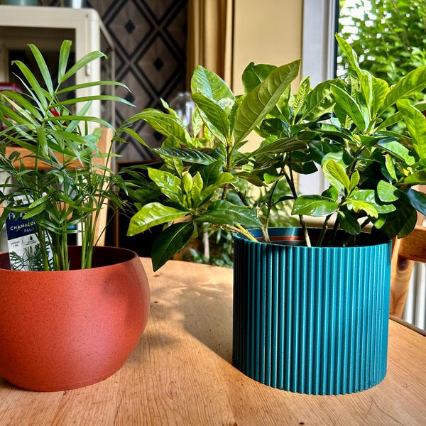 Curved Houseplant Planter With Drainage Perfect Gift for Plant Lovers ...