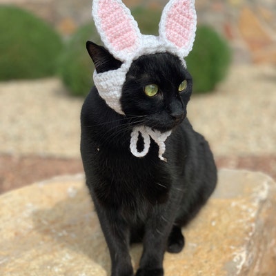 Bunny Rabbit Ear Hat for Cats - Etsy