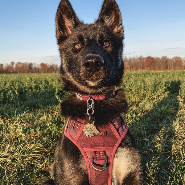 Wolf Dog Tag, Dog Tag for Dogs, Hand Stamped, Dog Tag, Mountain, Tree ...